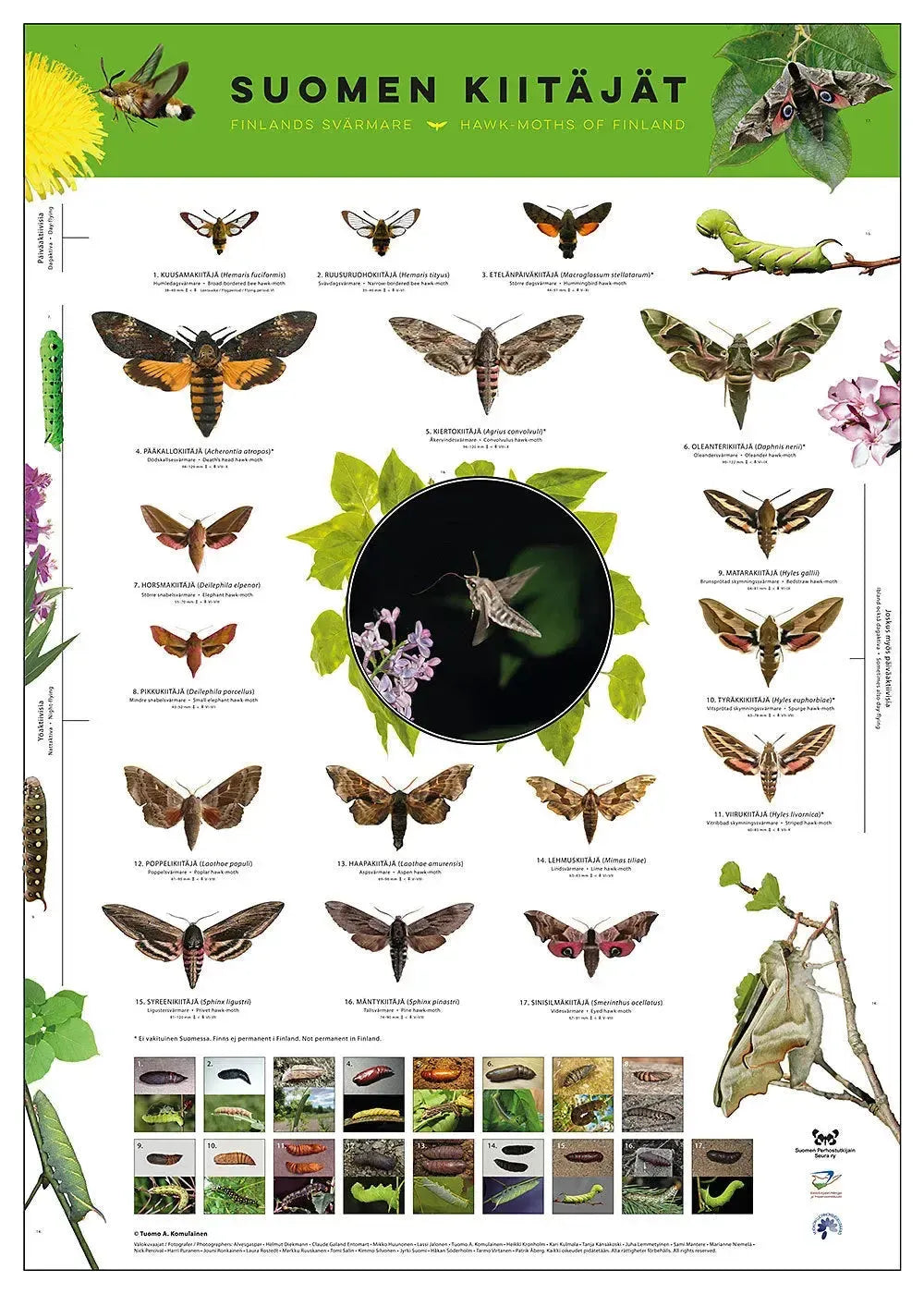 Suomen kiitäjät -juliste